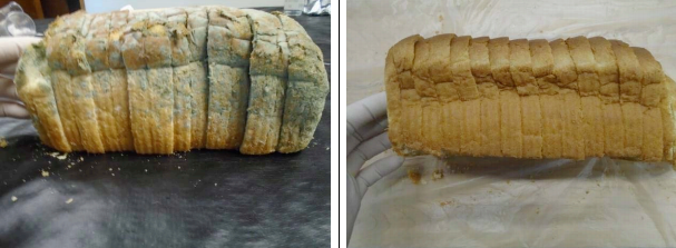 white-bread-food-freshness-card | Natures Frequencies Food Freshness Card