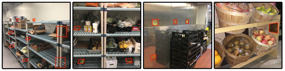 commercial-use-food-freshness-card | Natures Frequencies Food Freshness ...
